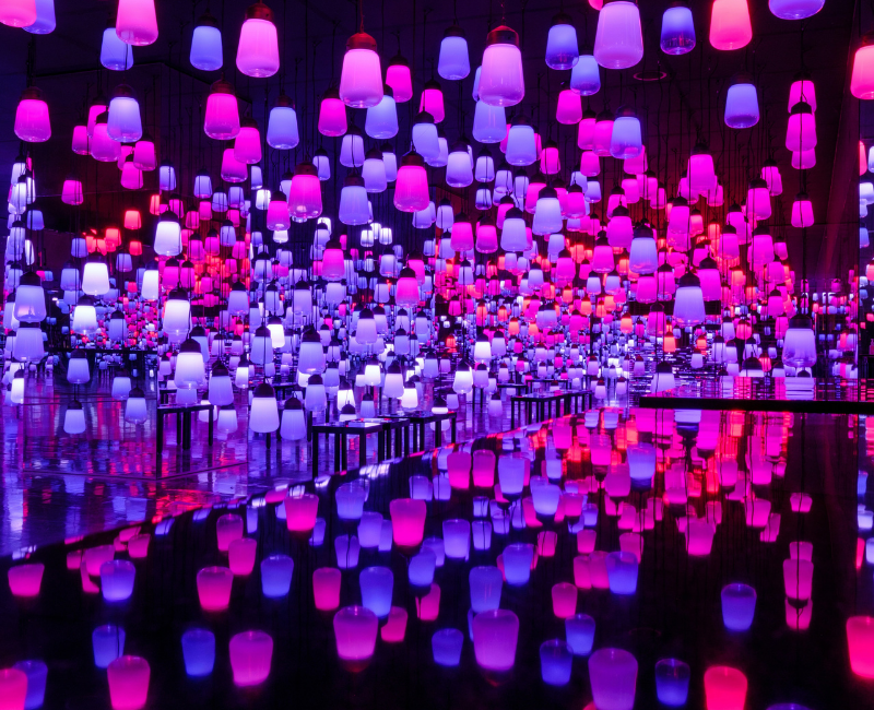 Au fil du Japon | L'art numérique de teamLab